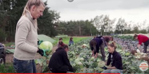 Exode urbain : l'appel de la campagne - URBIS le mag